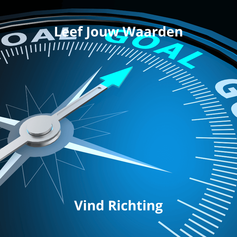 DE KRACHT VAN PERSOONLIJKE WAARDEN - ONLINE TRAINING – Begin nu